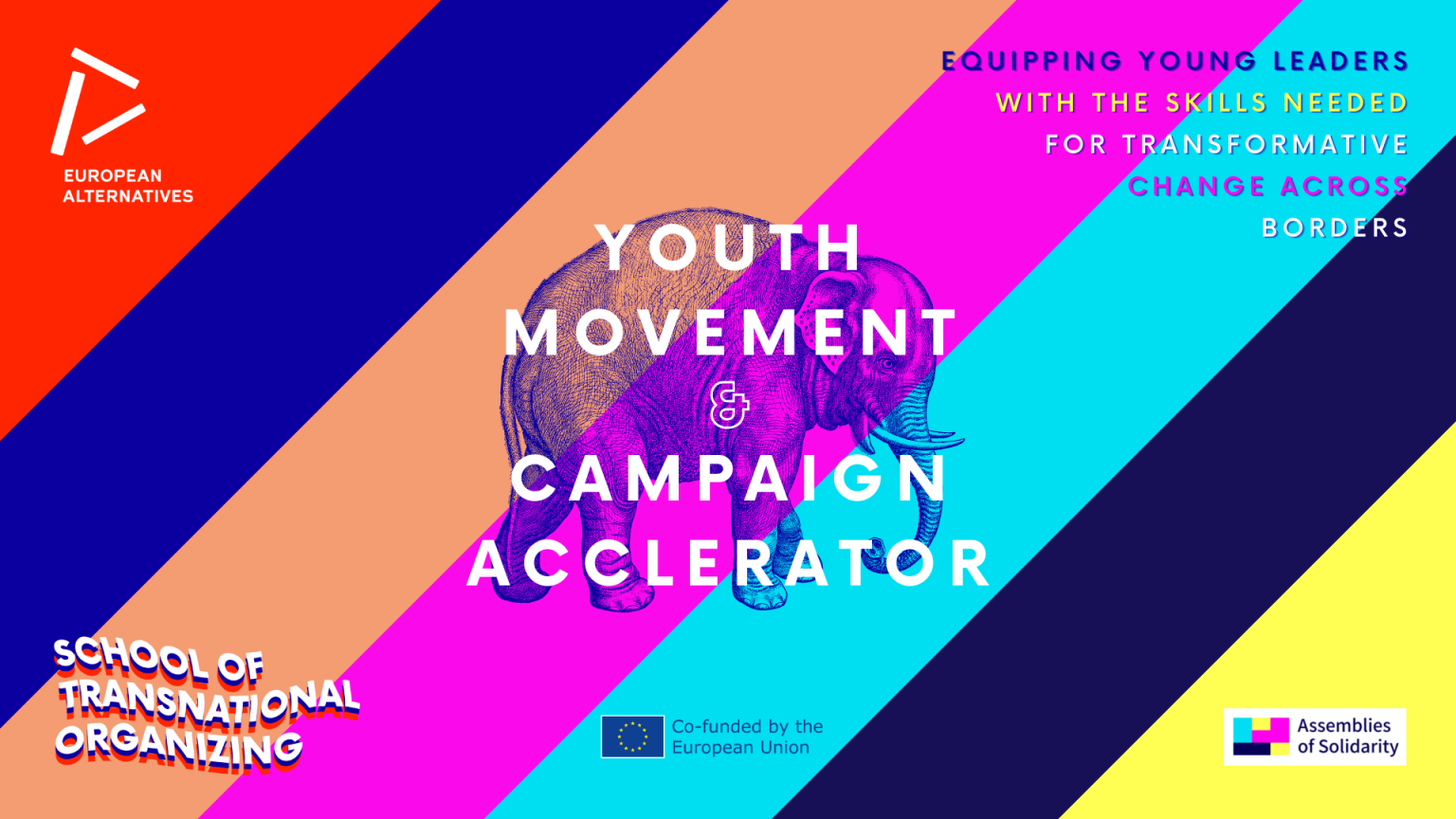 Call for Nominations open for the Youth Movement & Campaign Accelerator ...